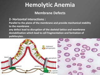 Hemolytic anemia I | PPTX