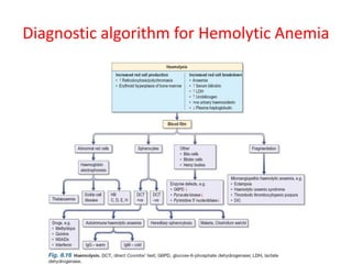 Hemolytic anemia in children | PPT