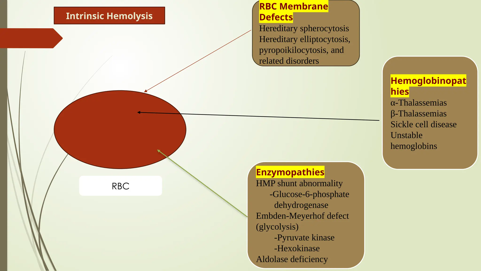 Approach to Hemolytic Anemia in Children.pptx