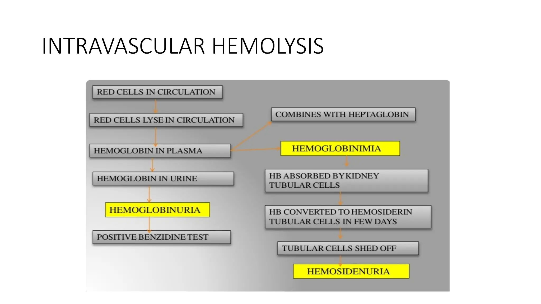 hemolytic anemia powerpoint.pptx general medicine | PPTX