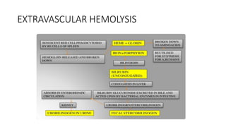 hemolytic anemia powerpoint.pptx general medicine | PPTX