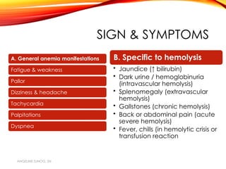 NCM312_Hemolytic_Anemia_Pathophysiology.pptx