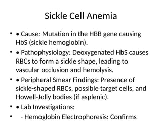Hemolytic_Anemia_Presentation_Updated_v2.pptx