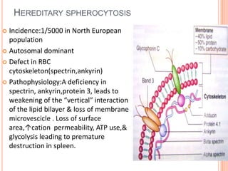 Hemolytic anemia sandip | PPT