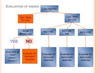 Hemolytic anemia sandip | PPT