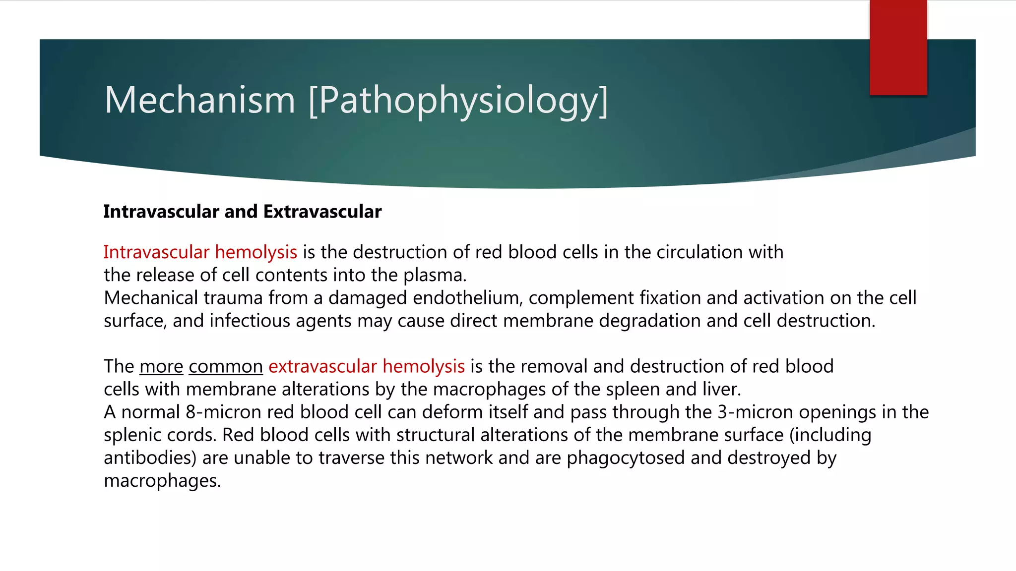 Hemolytic Anemia | PPTX