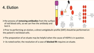 Hemolytic disease of the newborn and neonatal transfusion.pptx