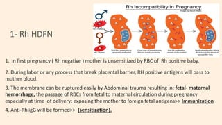 Hemolytic disease of the newborn and neonatal transfusion.pptx
