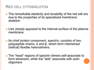 Hemolytic disorders due to inherited abnormalities in red cell ...