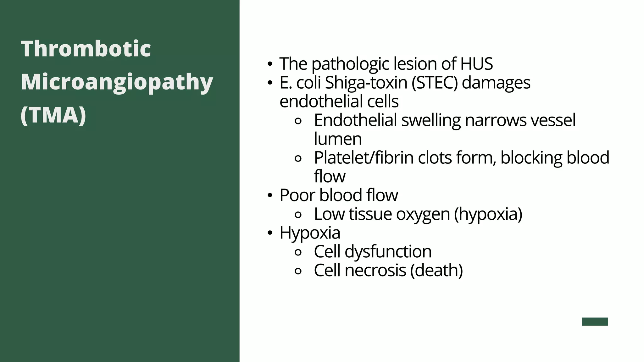 Hemolytic Uremic Syndrome (HUS) chris edits 7.31.23.pptx