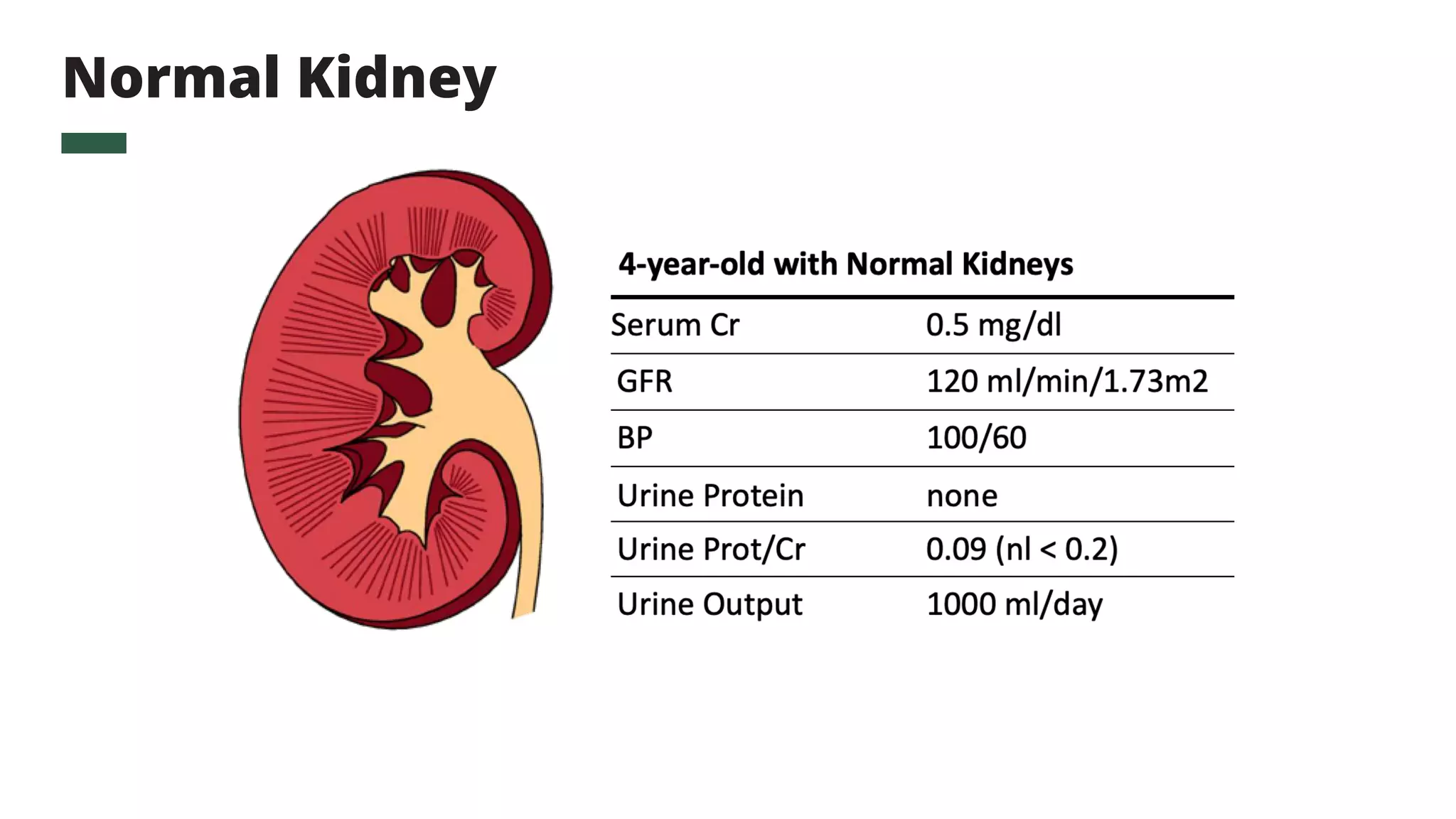 Hemolytic Uremic Syndrome (HUS) chris edits 7.31.23.pptx