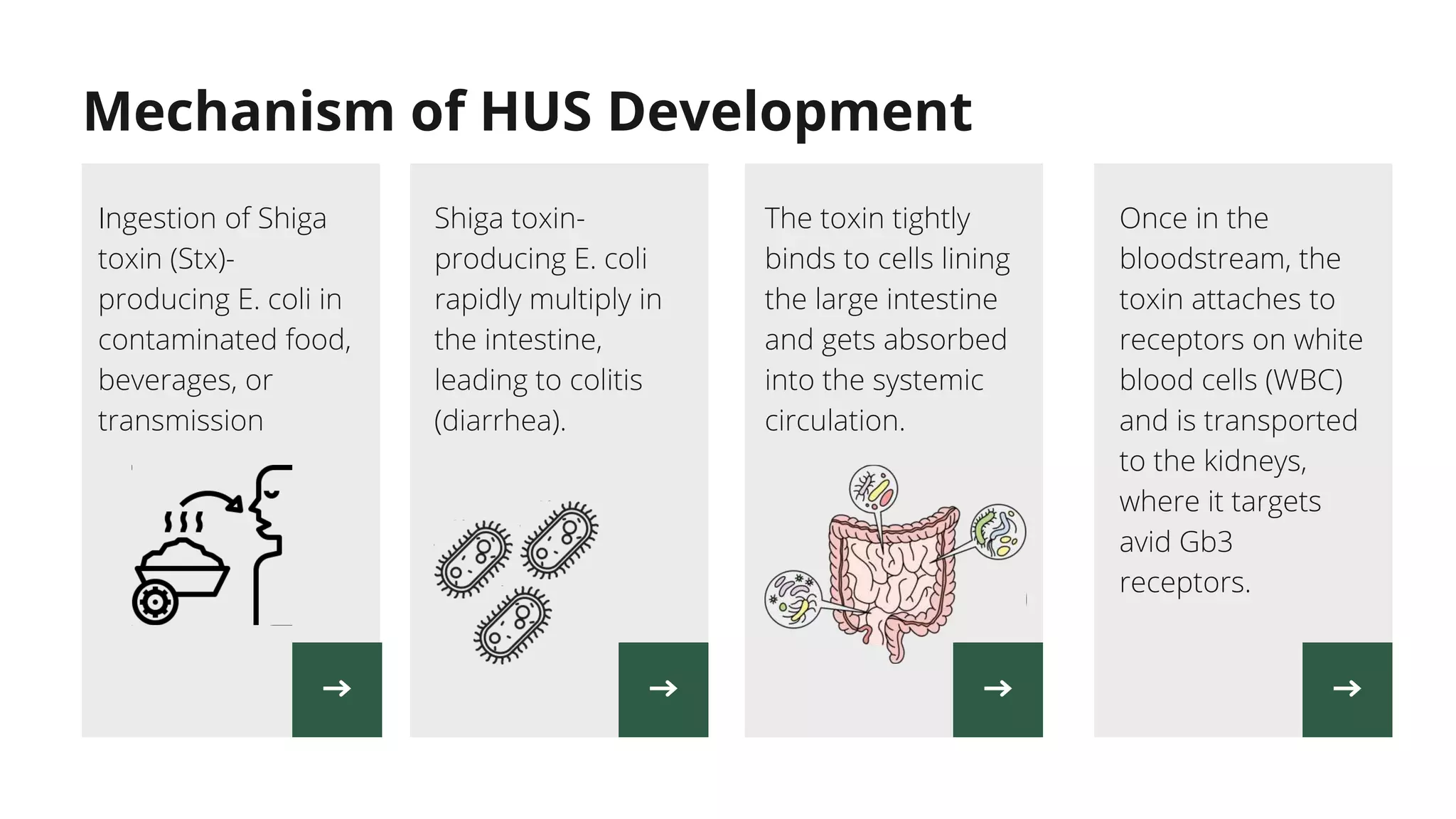 Hemolytic Uremic Syndrome (HUS) chris edits 7.31.23.pptx
