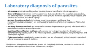 hemoparasites hemoparasiteshemoparasites | PPTX