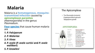 hemoparasites hemoparasiteshemoparasites | PPTX