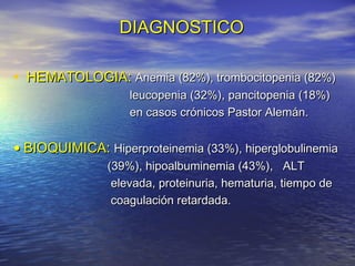 Hemoparasitos caninos | PPT
