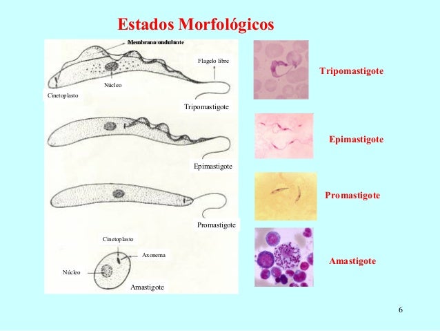 My Clips by Ángel Quintanilla