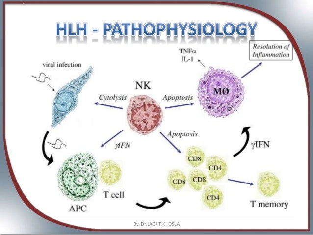 Hemophagocytic lymphohistiocytosis