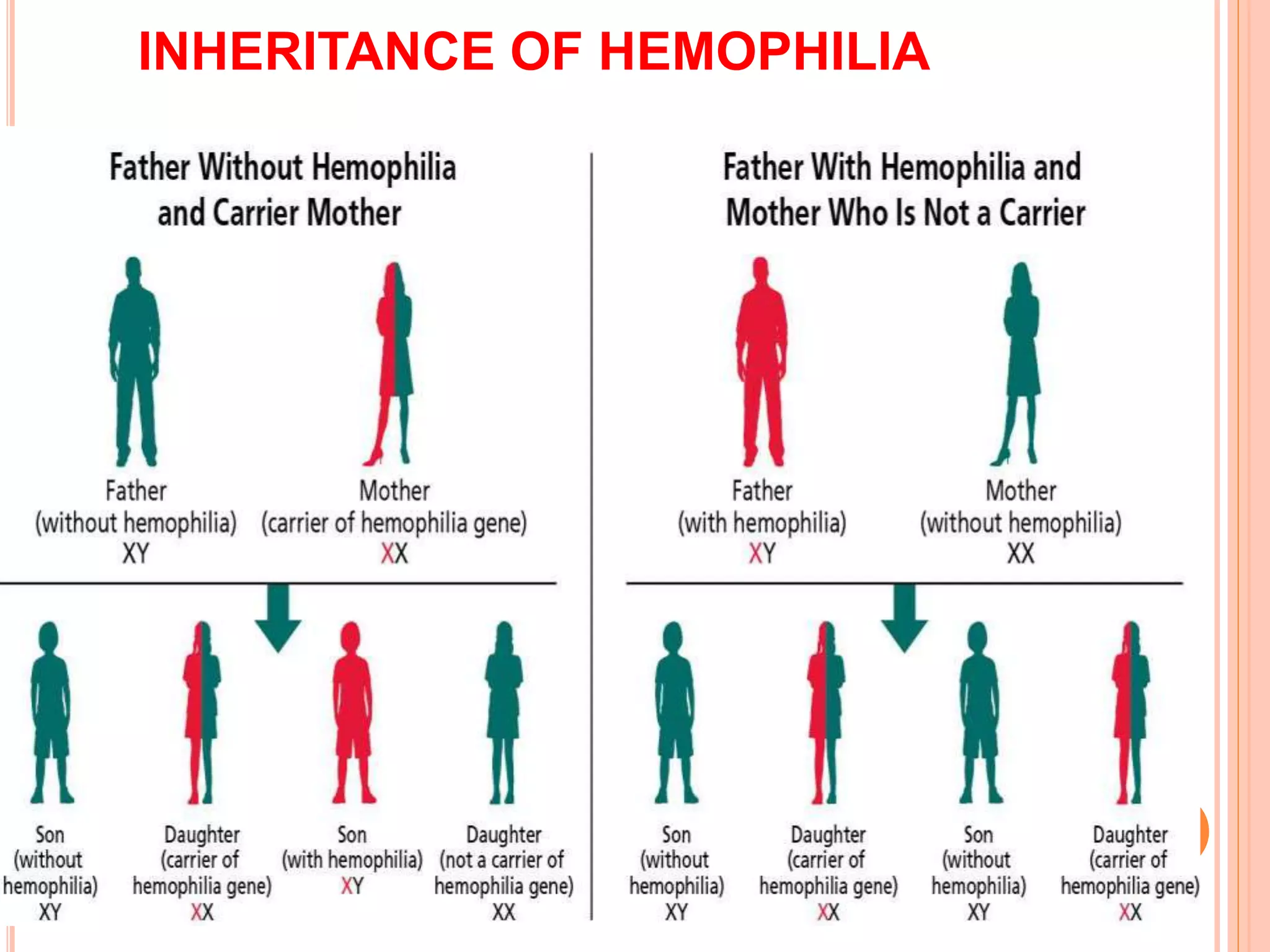 Hemophilia and ITP | PPTX