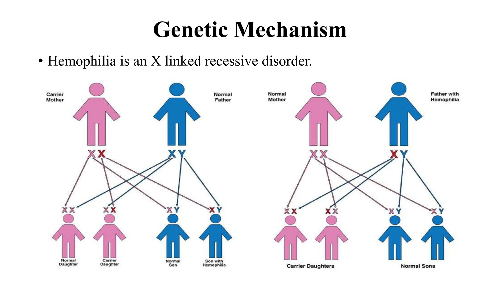 HEMOpediatrics presentationgmcthPHILIA.pptx