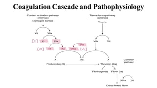 HEMOpediatrics presentationgmcthPHILIA.pptx