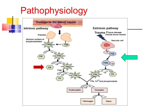 Hemophilia (a) - Pediatrics