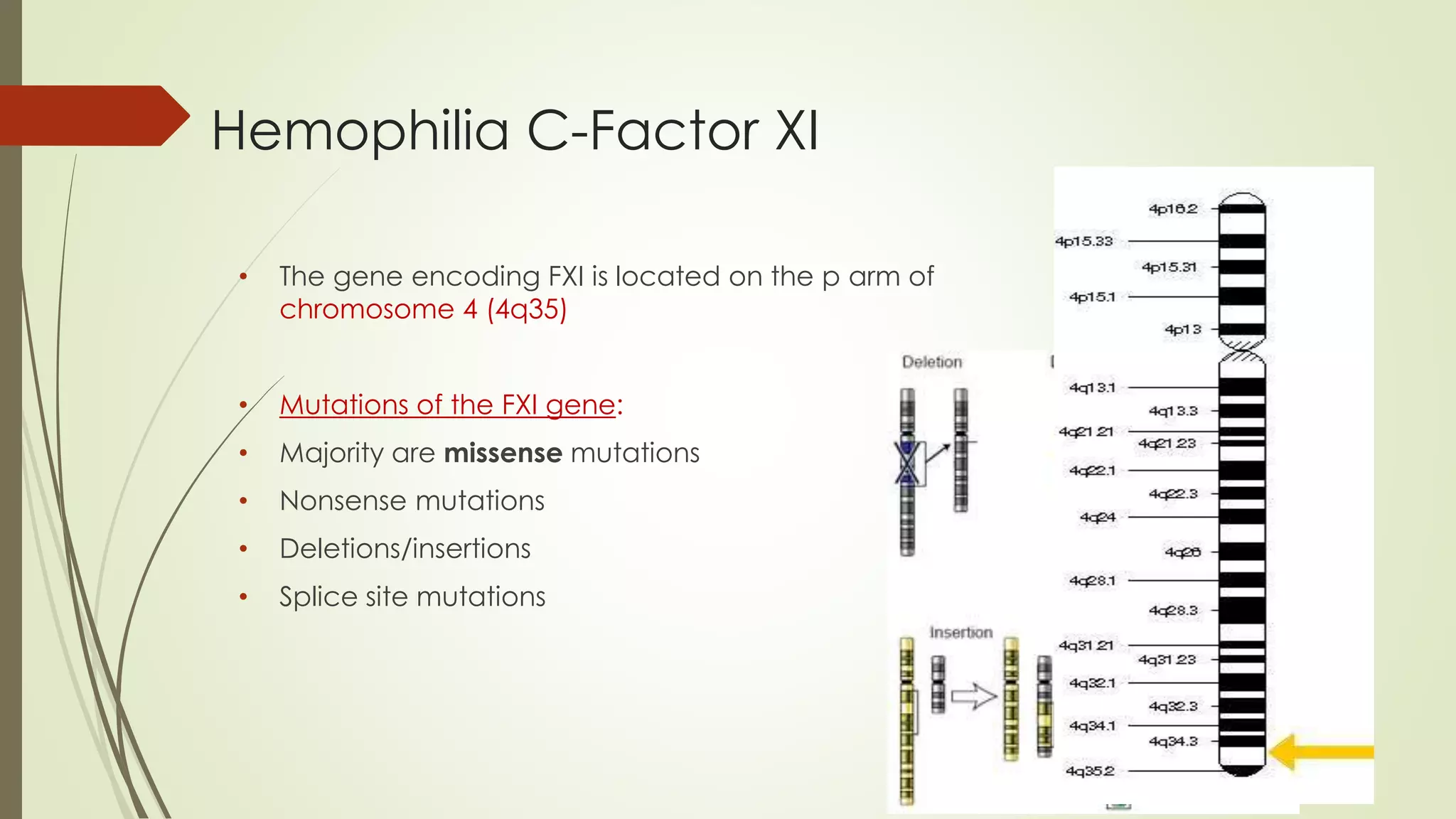 Hemophilia b | PPTX