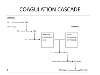 Hemophilic arthropathy | PPT