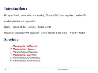 Hemophilus.pptx | PPTX | Blood Disorders | Diseases and Conditions