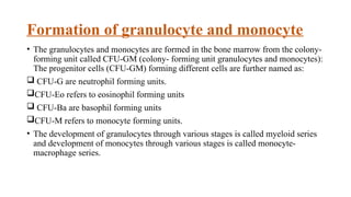 HEMOPOEISIS FORMATION OF BLOOD CELLS.pptx