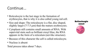HEMOPOEISIS FORMATION OF BLOOD CELLS.pptx