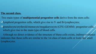 Hemopoesis that relates to the subject histology | PPTX