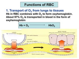hemopoiesis-I.ppt
