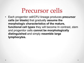hemopoiesisabbasa-170303103105 (1).pdf