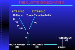 Hemorrage in oral surgery | PPT