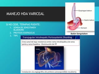 HEMORRAGIA DIGESTIVA PREGRADO 2019.pptx