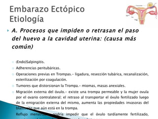 Hemorragia En El 1 Y 2 Semestre | PPT