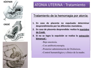 Hemorragia Postparto Pdf