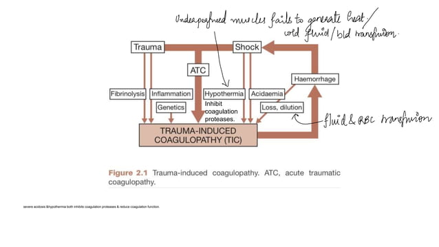 hemorrhage in trauma hemorrhage and transfusion bailey text of surgery ...