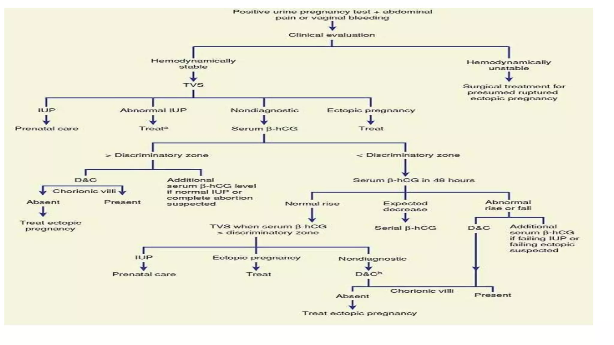 Hemorrhage in early pregnancy | PPTX