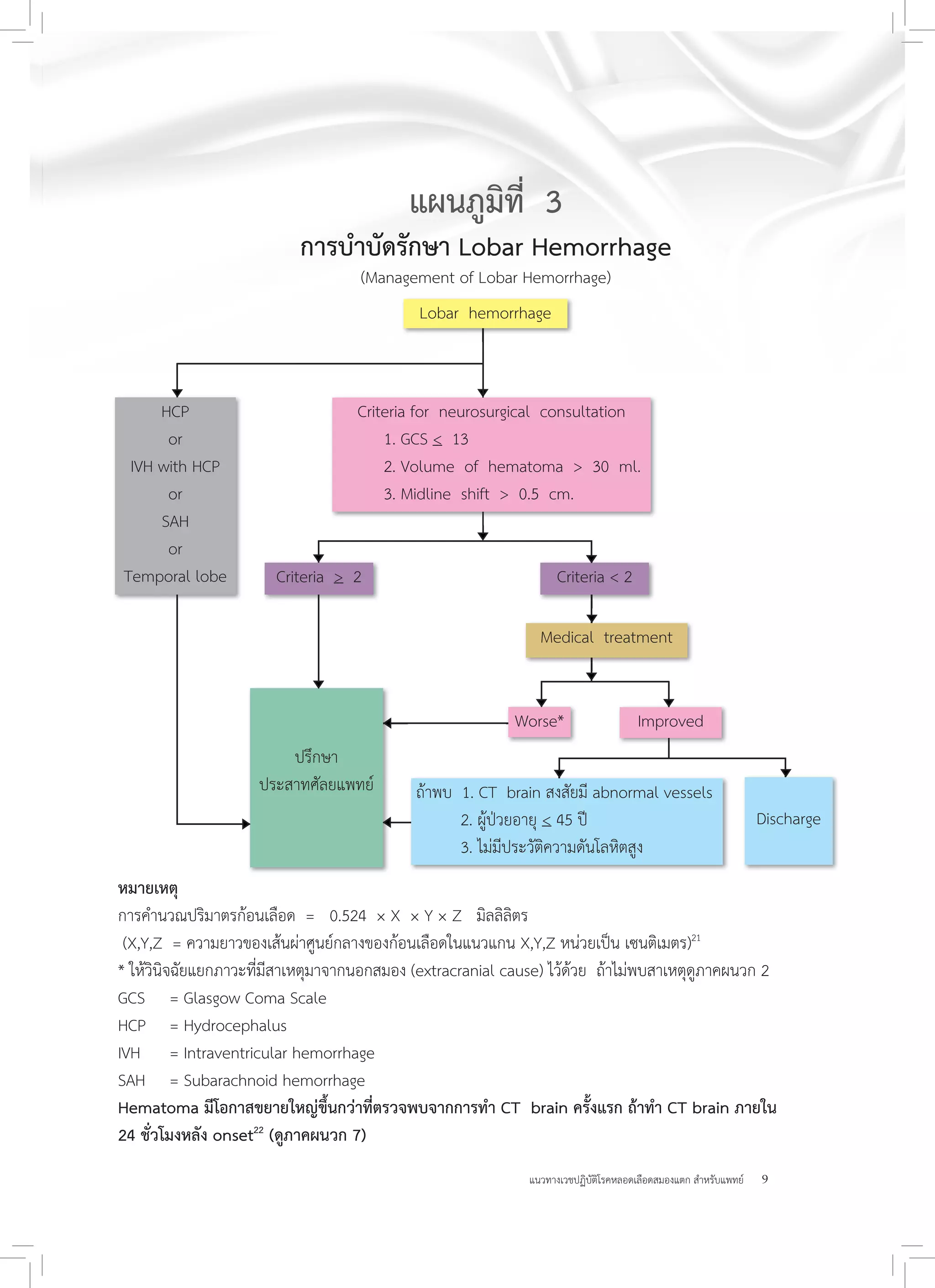 CPG Thai hemorrhagic stroke 2551 | PDF
