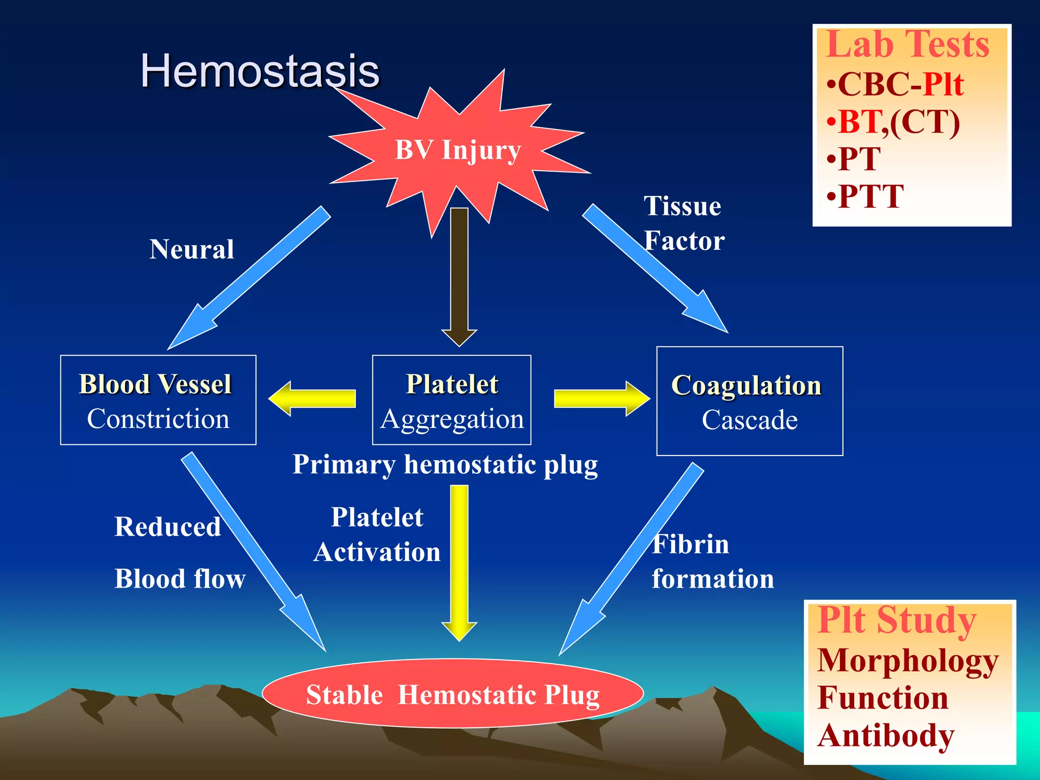 Hemorrhagic disorders march 2020 | PPT