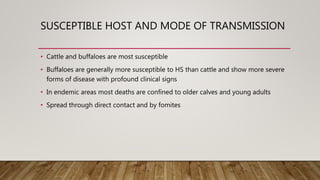 Hemorrhagic septicaemia | PPTX