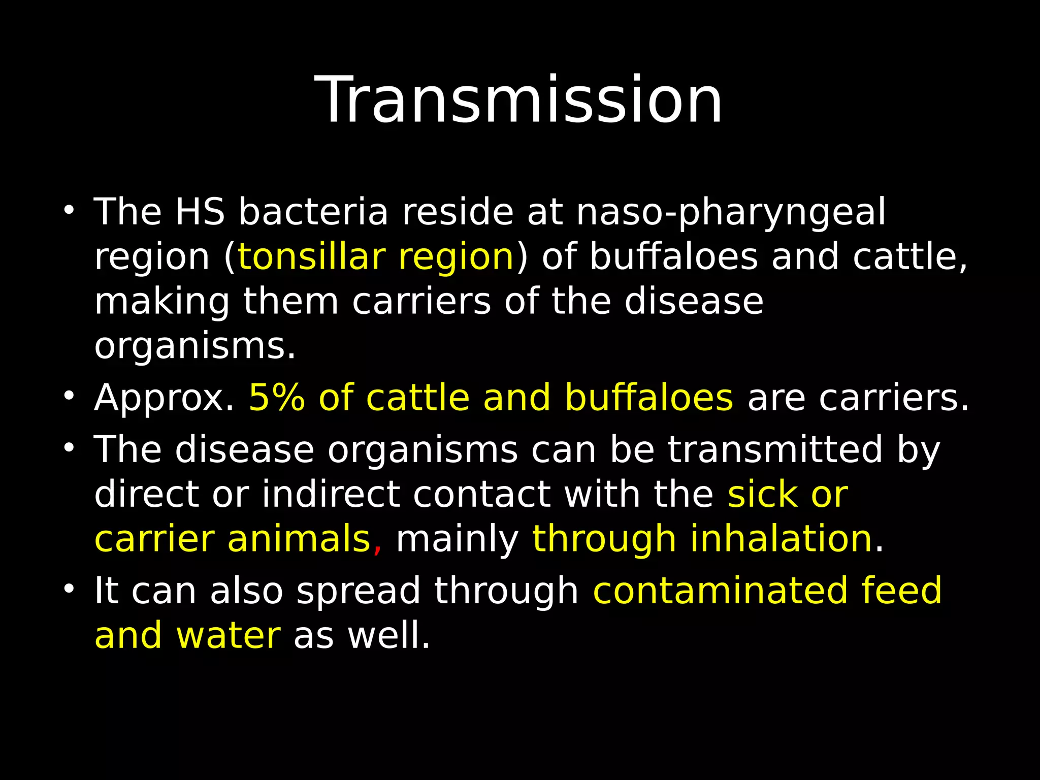 Hemorrhagic septicemia | PDF