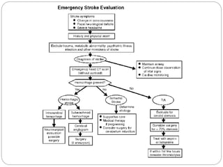 Hemorrhagic Stroke Pathophysiology
