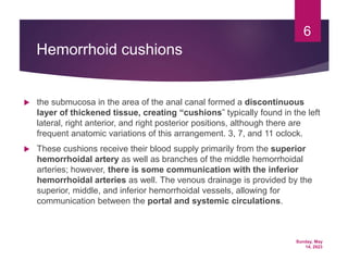 hemorrhoides.ppt