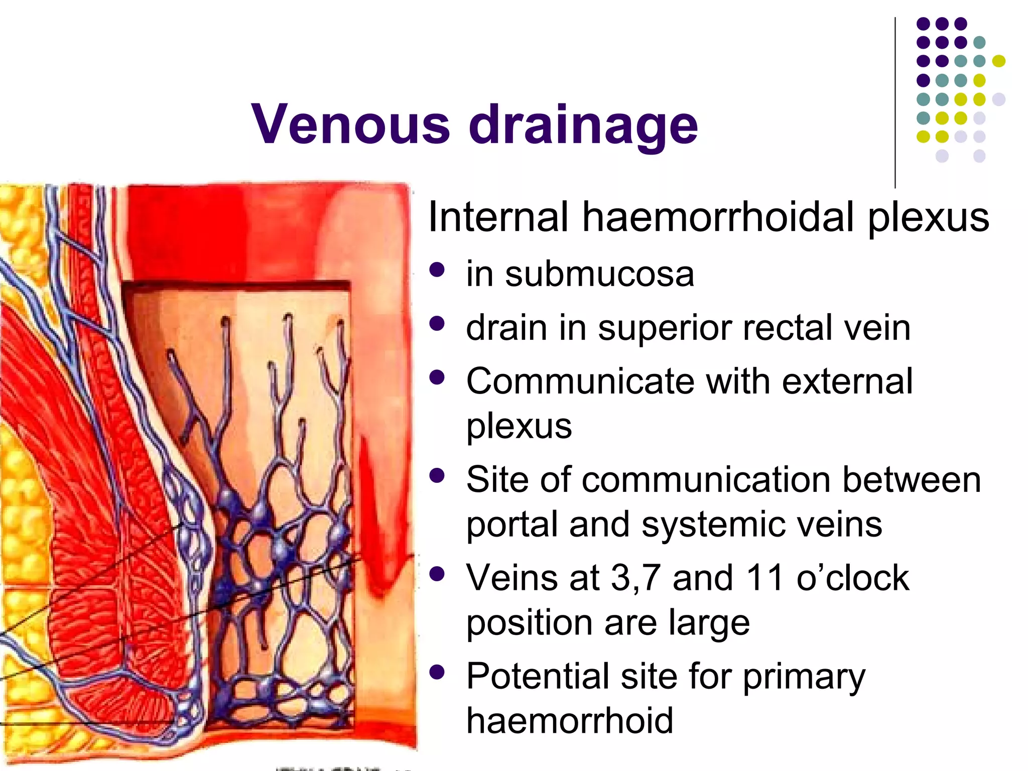 Hemorrhoids- | PPT