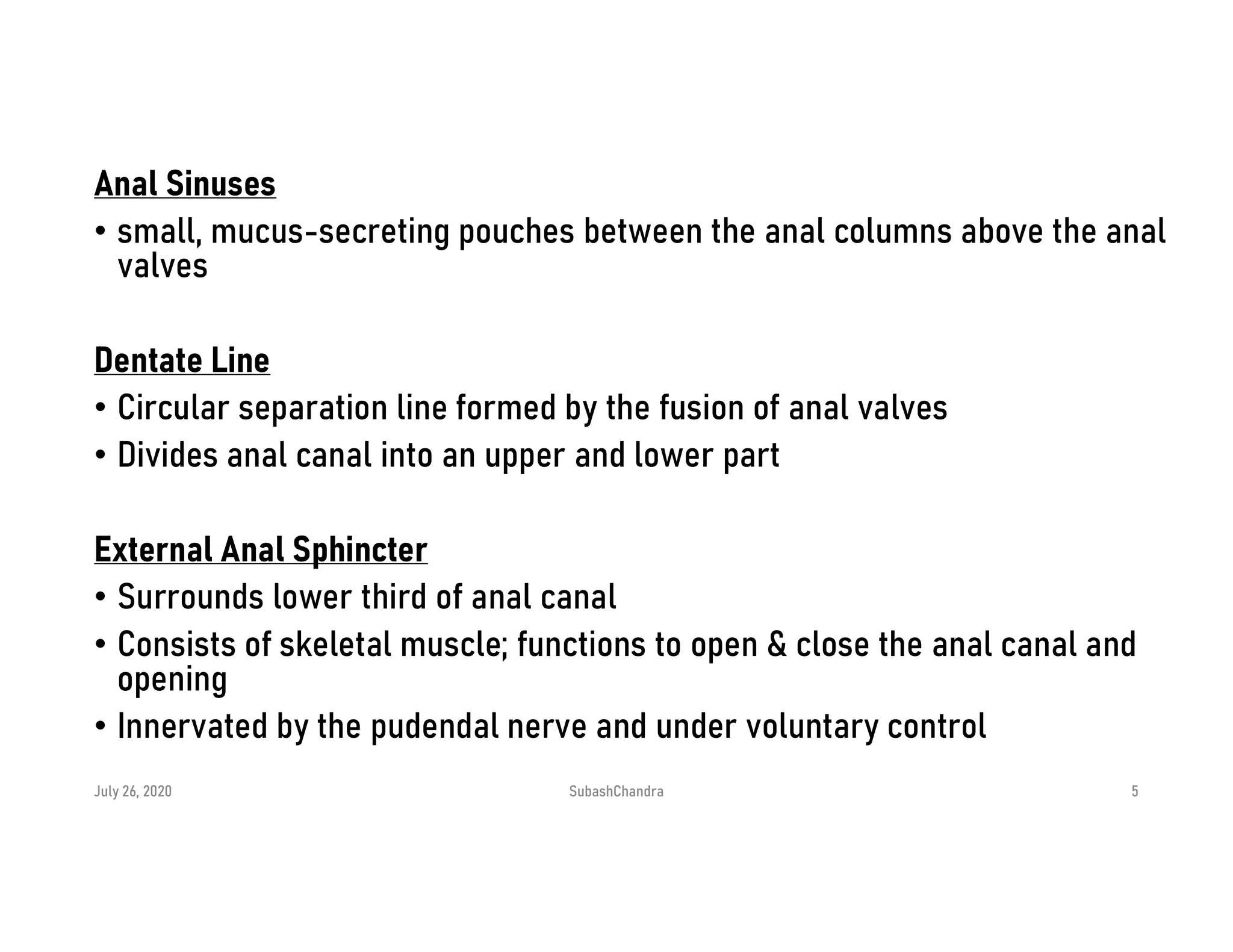 Anal Canal and Haemorrhoids (Piles) | PDF