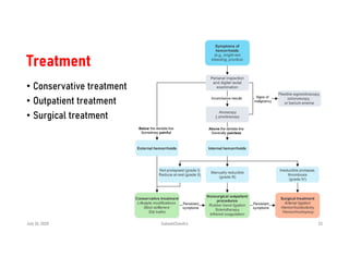 Anal Canal and Haemorrhoids (Piles) | PDF