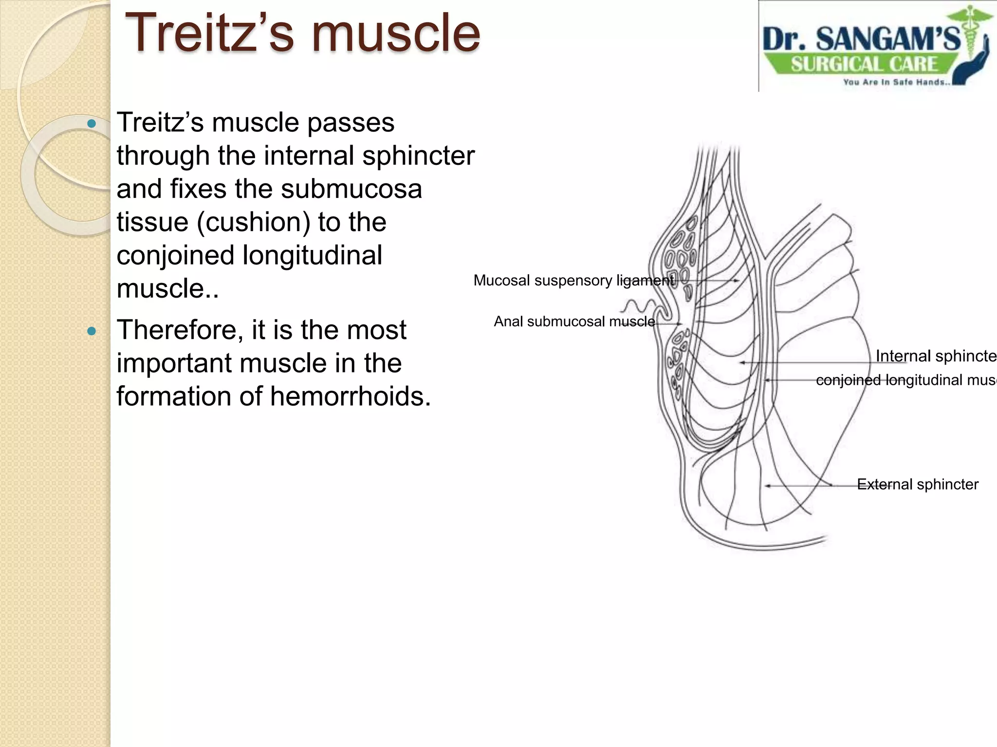 Hemorrhoids - Piles | PPTX