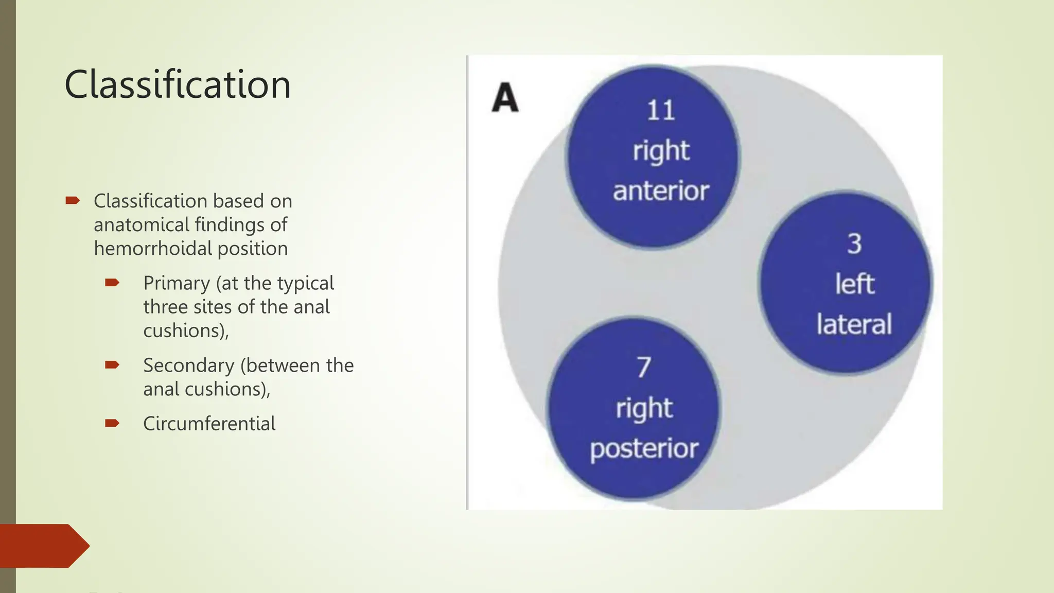 Hemorrhoids , A brief look into the topic for Medical Students | PPTX